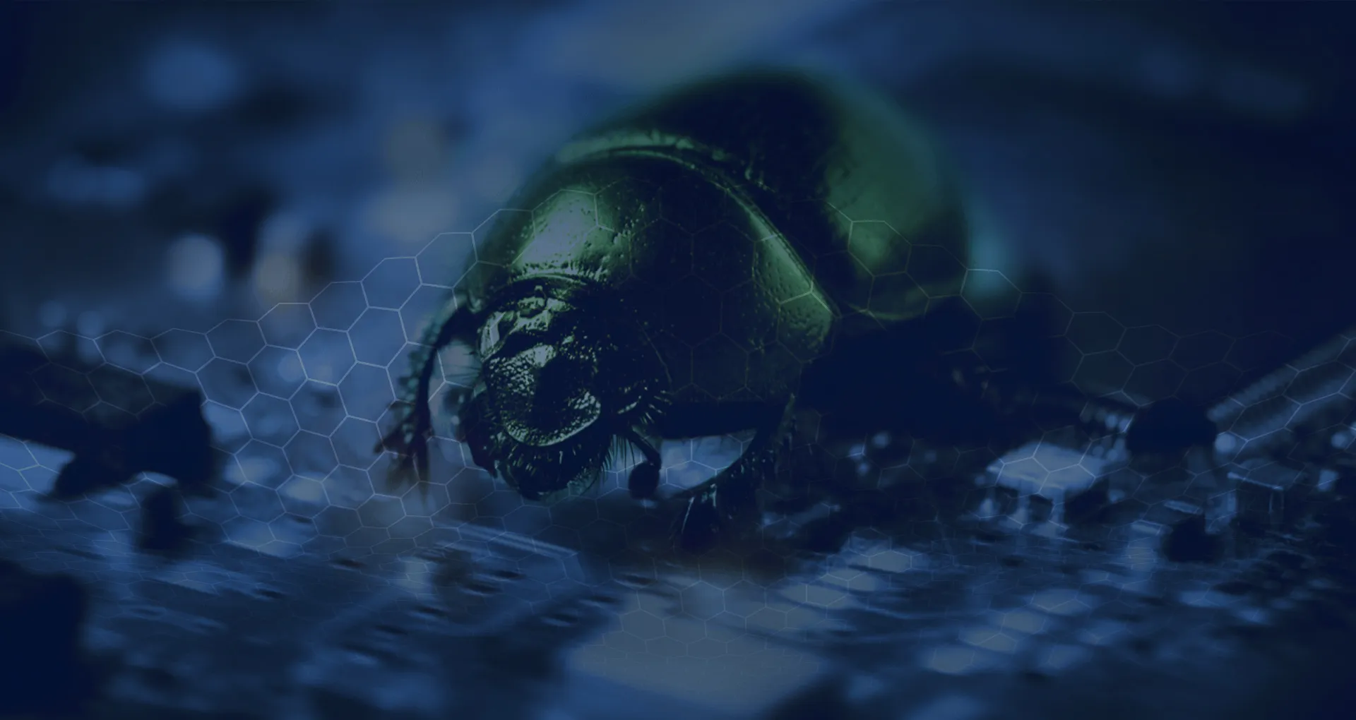 Bug Bounty Service - Managed Vulnerability Reward Program