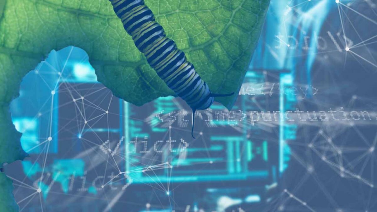 Vulnerabilidad Spring4Shell CVE-2022-22965 y 2022-22963